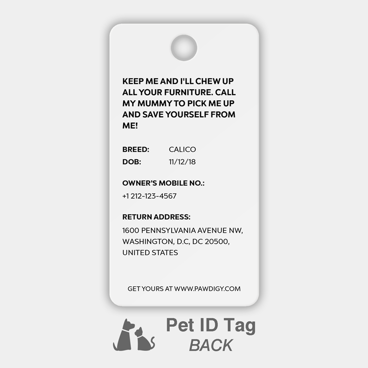Appaw (Apple) (3 x tags) – Pawdigy